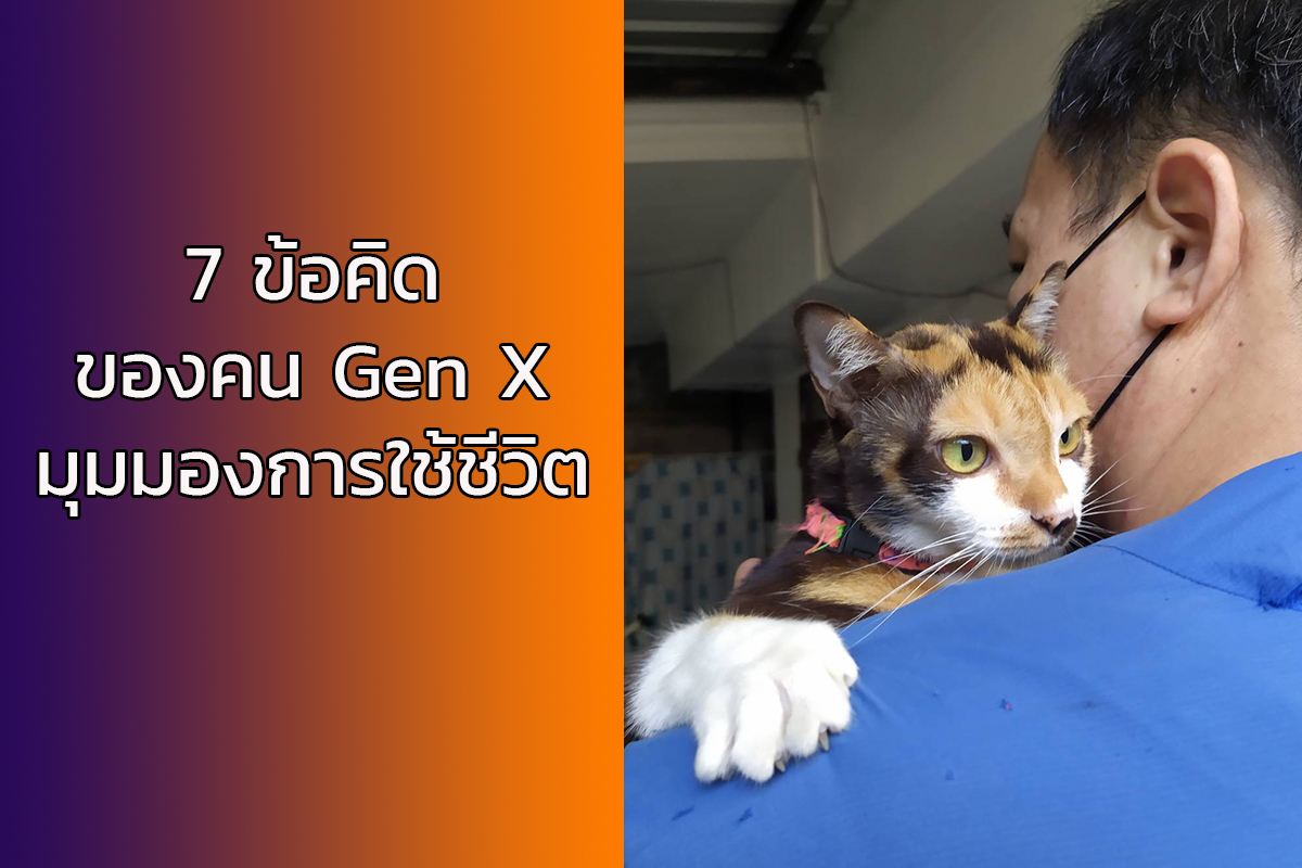 Zocial Eye Social Analysis with A.I. - ครบเครื่องเรื่องวิเคราะห์ข้อมูล ...